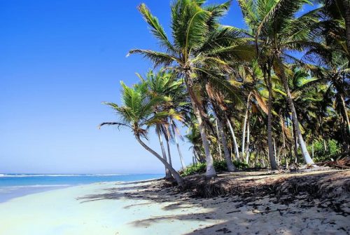 Dominican Republic Facts: Things You Should Know ⋆ Expert World Travel