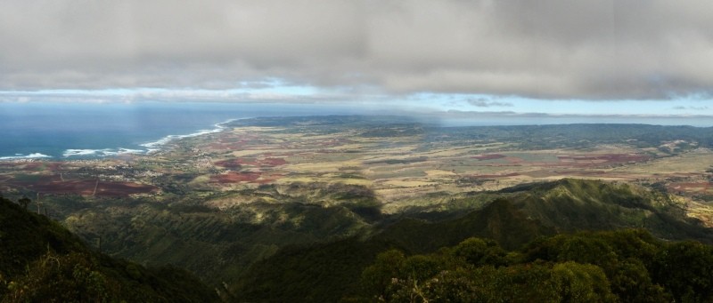 Best Hikes In Oahu Hawaii: Craters, Wild Flowers & Stairs ⋆ Expert ...