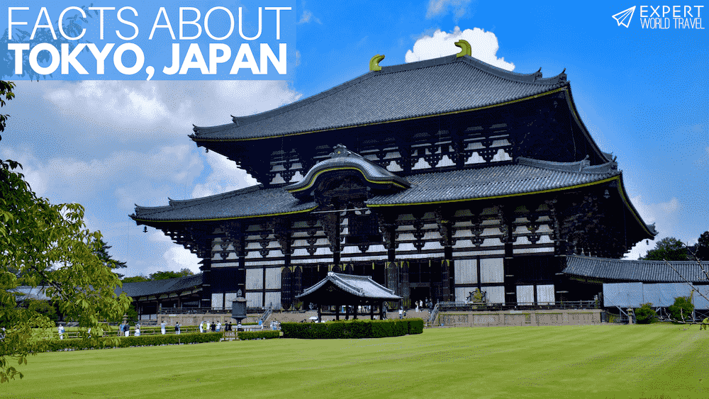Tokyo Facts: Quirky, Fun & Interesting ⋆ Expert World Travel