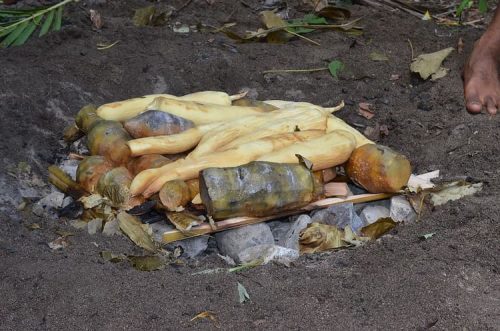 Traditional Foods in Fiji ⋆ Expert World Travel