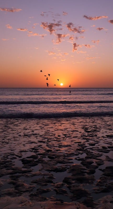 Visiting Port Willunga Beach Caves: All You Need To Know