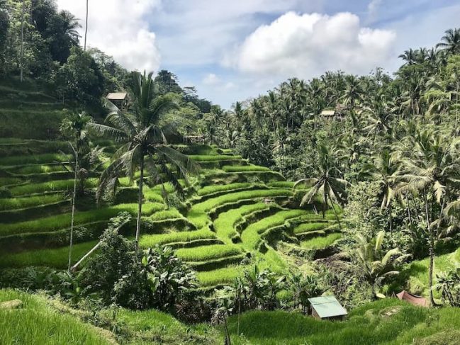 Best Views In Bali ⋆ Expert World Travel