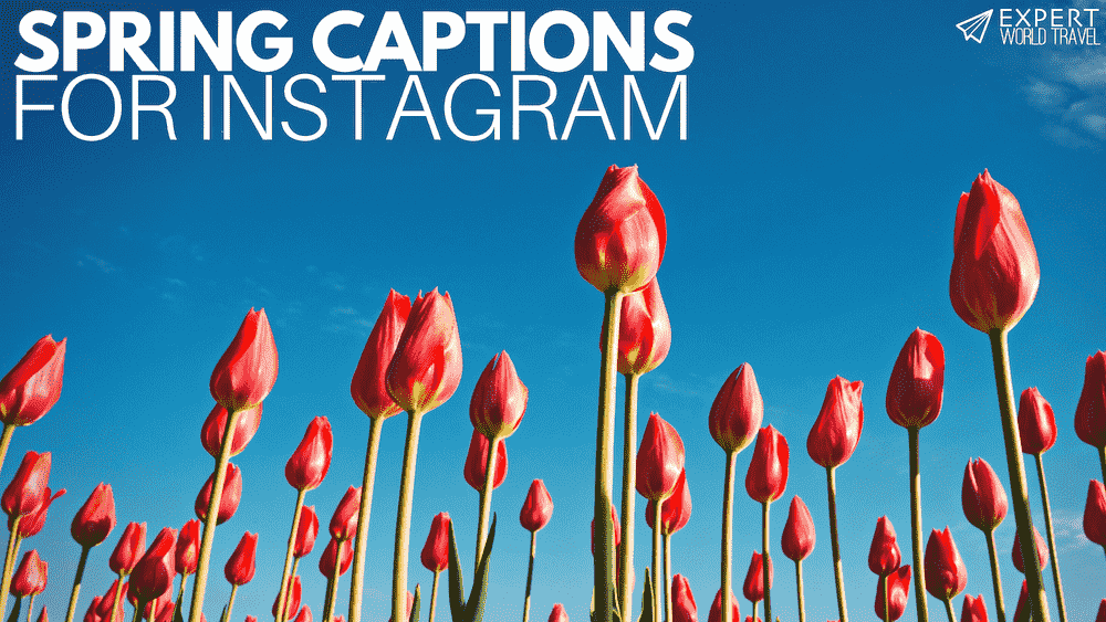 Spring Captions For Instagram ⋆ Expert World Travel