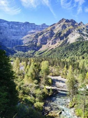 Most Beautiful Forests In France ⋆ Expert World Travel