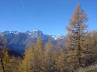 Most Beautiful Forests In France ⋆ Expert World Travel