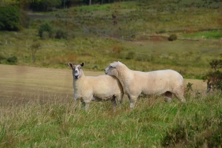 What Is Wales Known For? ⋆ Expert World Travel