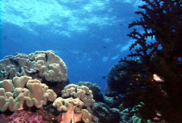 Papua New Guinea Beaches ⋆ Expert World Travel