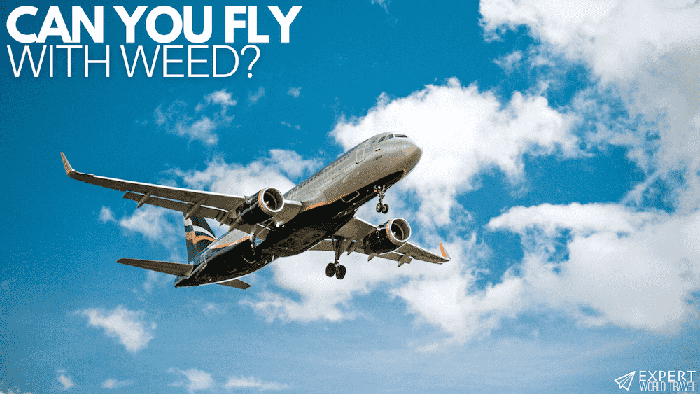 Can You Fly With Weed? Here's What You Need To Know ⋆ Expert World Travel