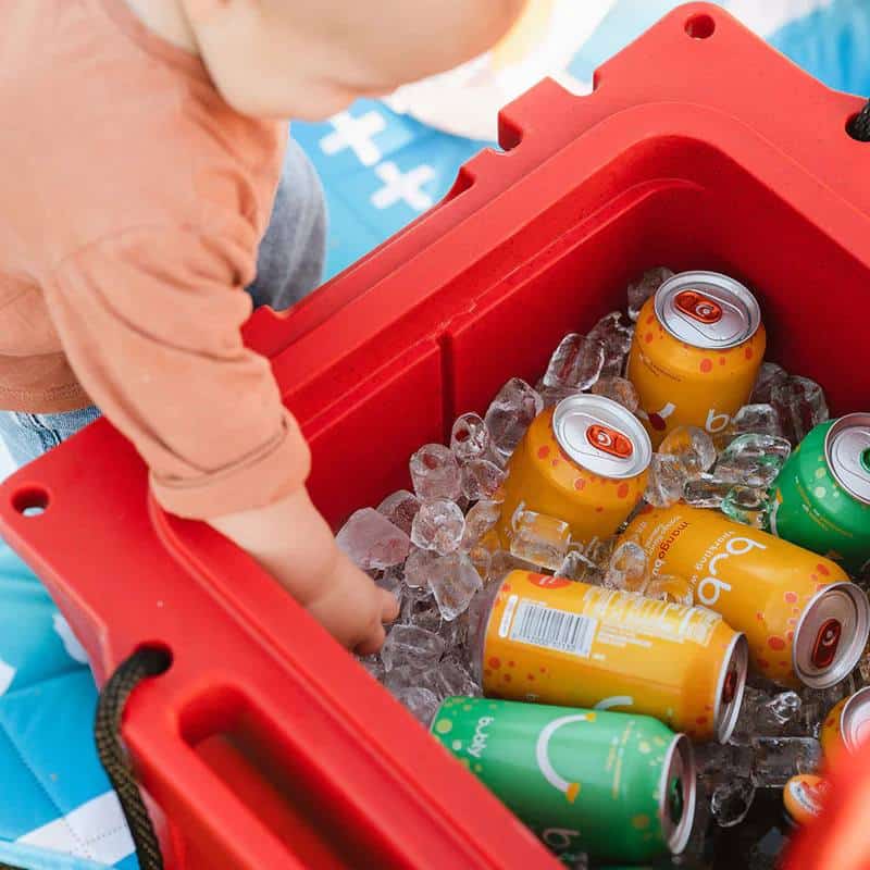 Bison Coolers Review: Should You Get One For Yourself? ⋆ Expert World ...